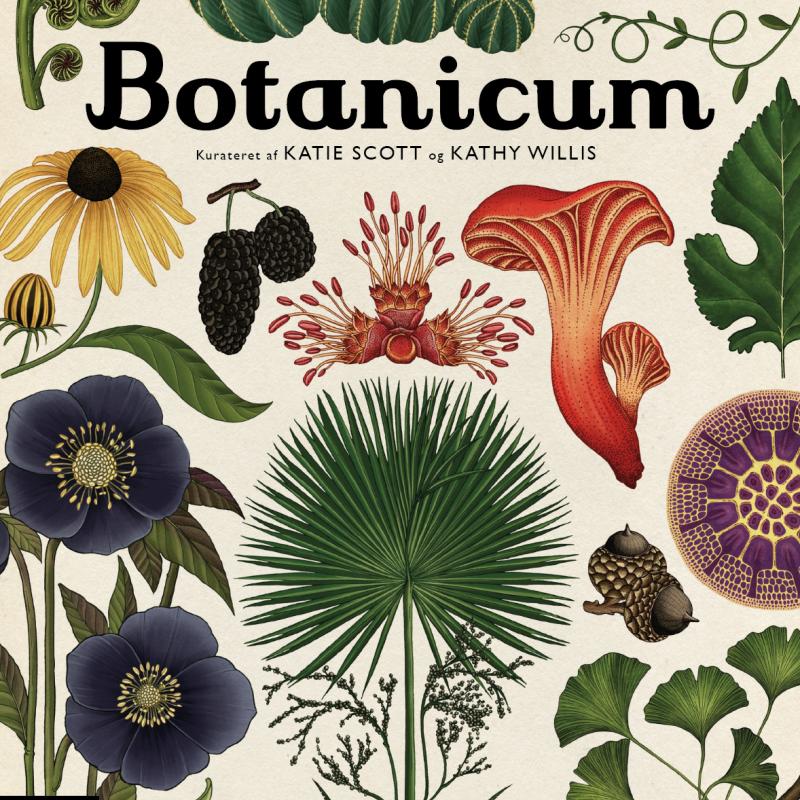 Botanicum - Køb bogen til 299,95 DKK hos Kontur